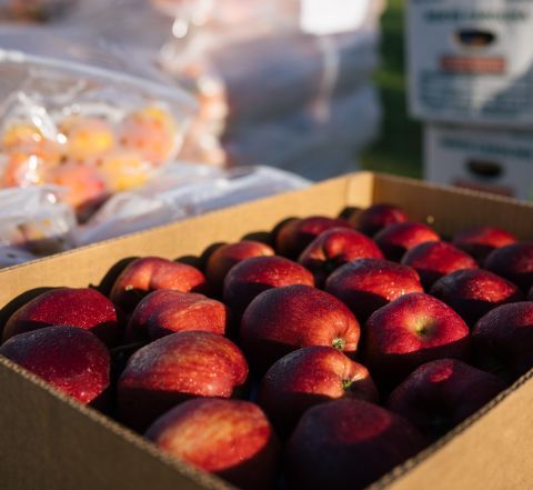 Food Insecurity in Native Communities | Feeding America