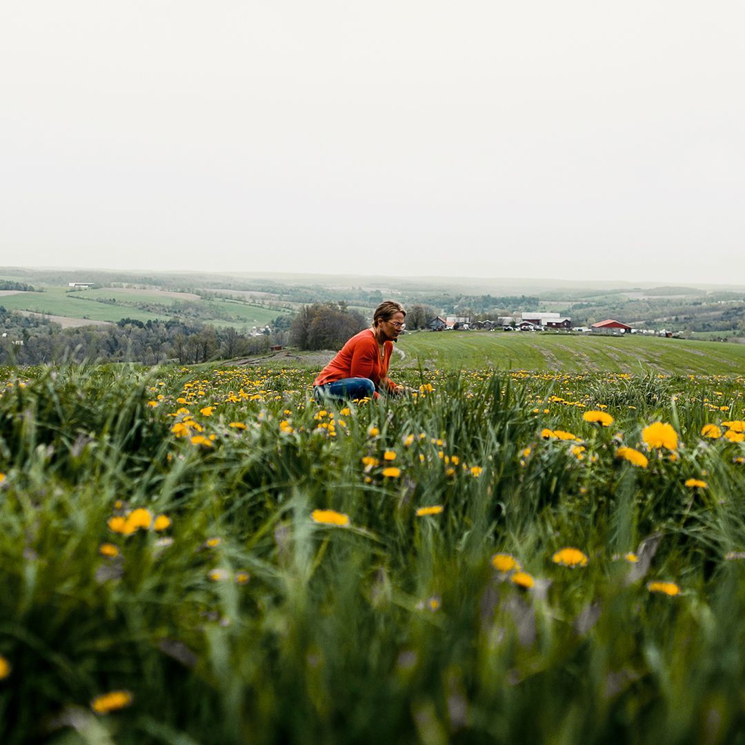 Hunger in Rural Communities Research | Feeding America