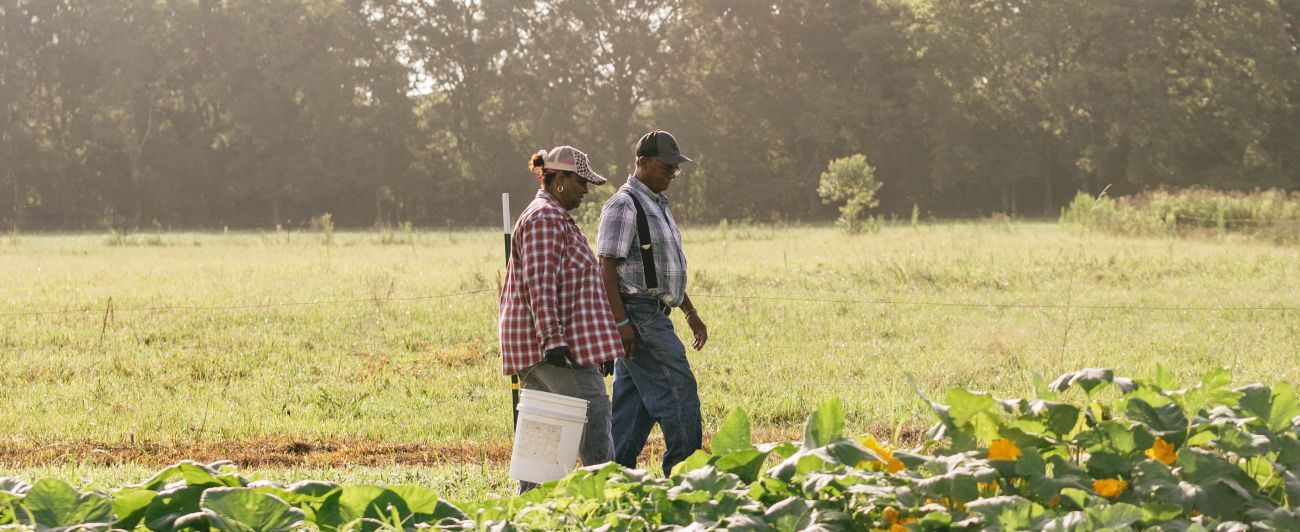 Hunger Statistics & Facts | Feeding America